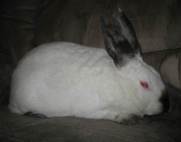 January & February Events